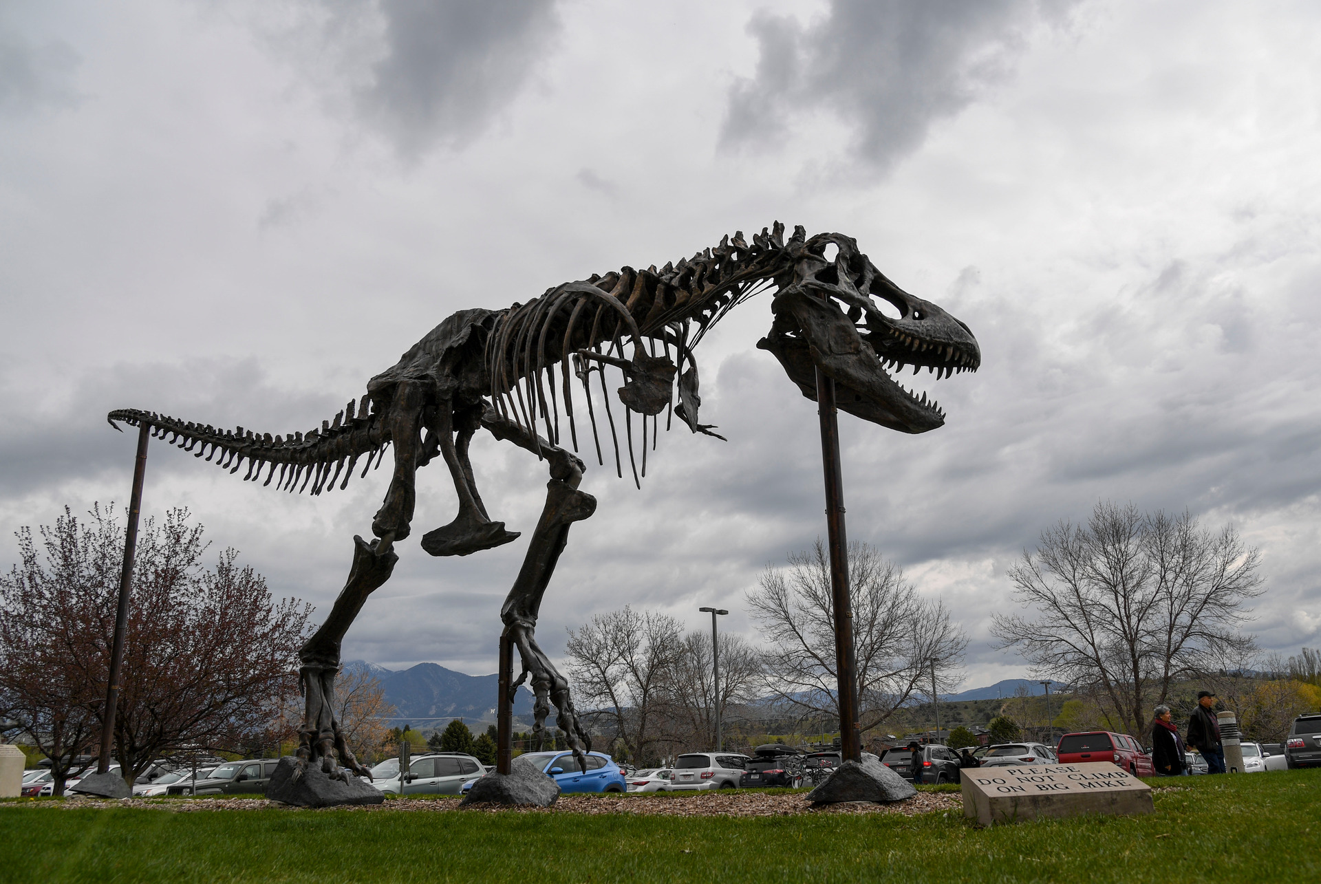 Taobh Istigh Carr T Rex