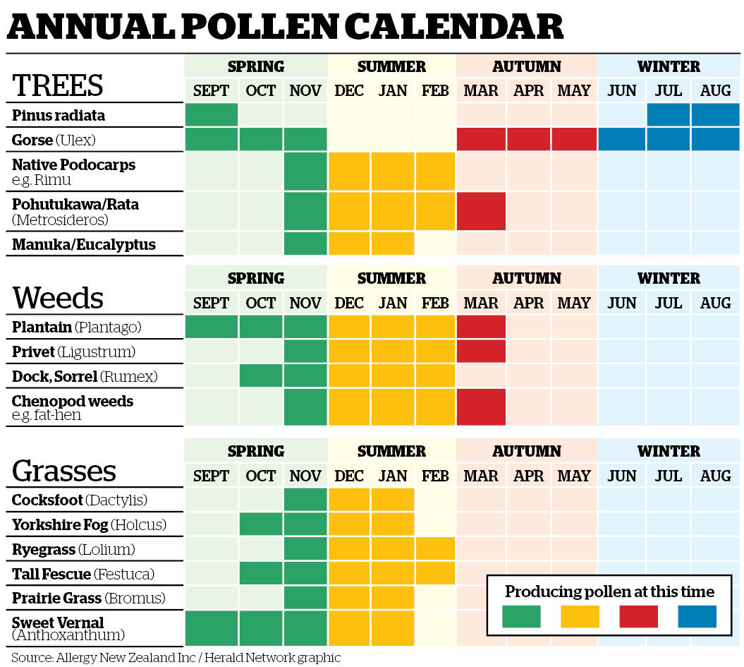 Flower Mound Allergy Calendar | Best Flower Site