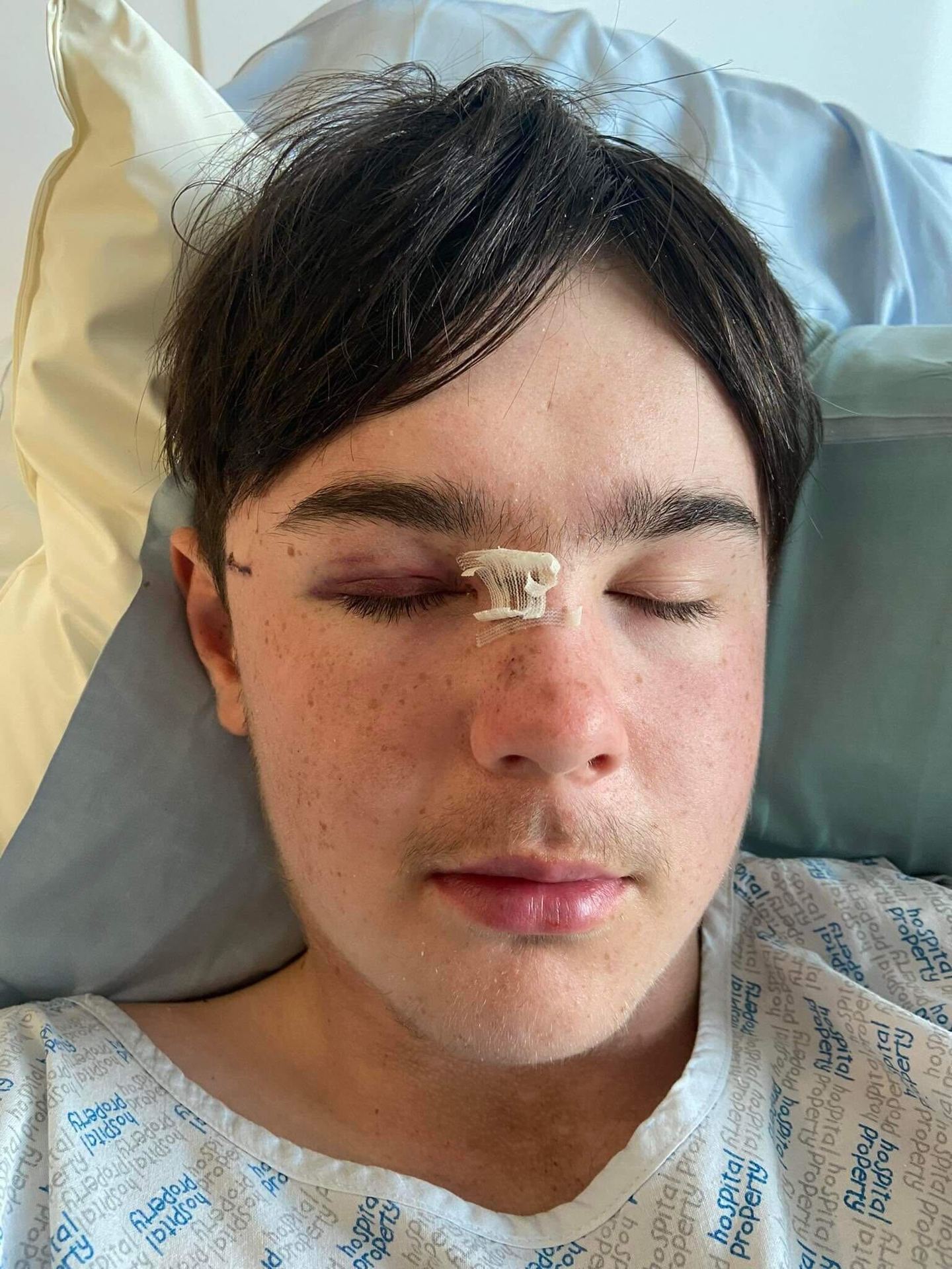 Kathy Sexton's Instagram, Twitter & Facebook on IDCrawl