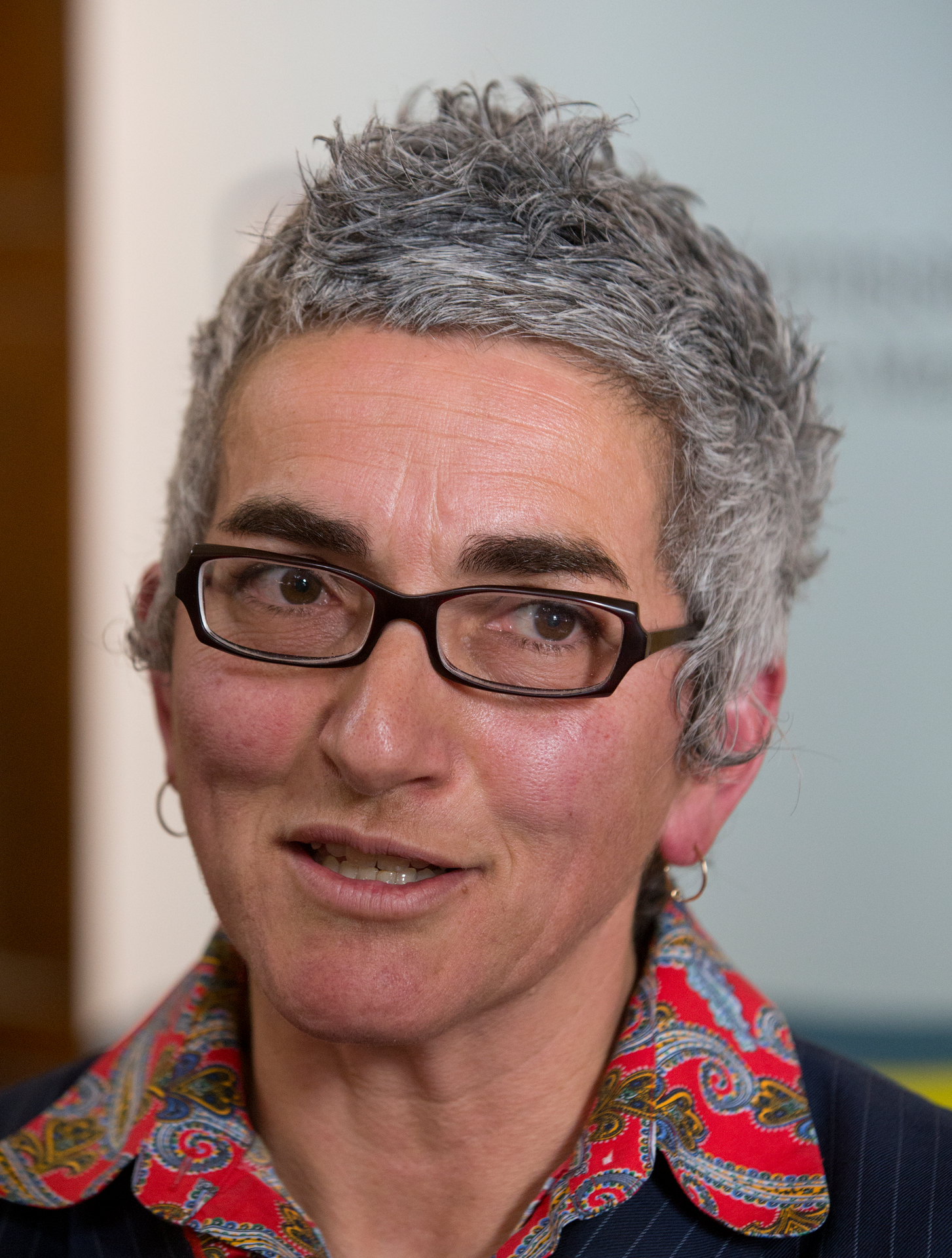 Solicitor General Nz