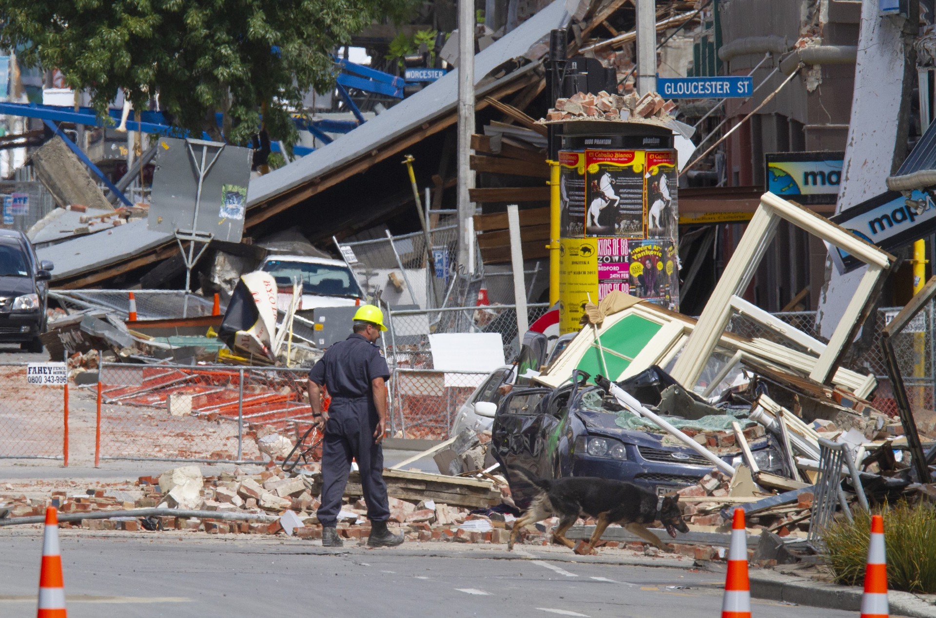 Can Dogs Tell When An Earthquake Is Coming