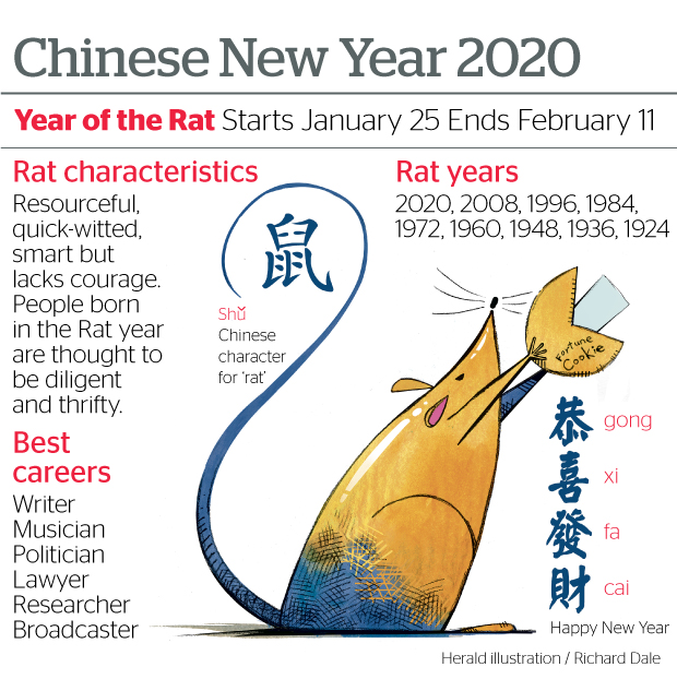 Rat characteristics chinese zodiac 60 photos - Youhoroscope.com
