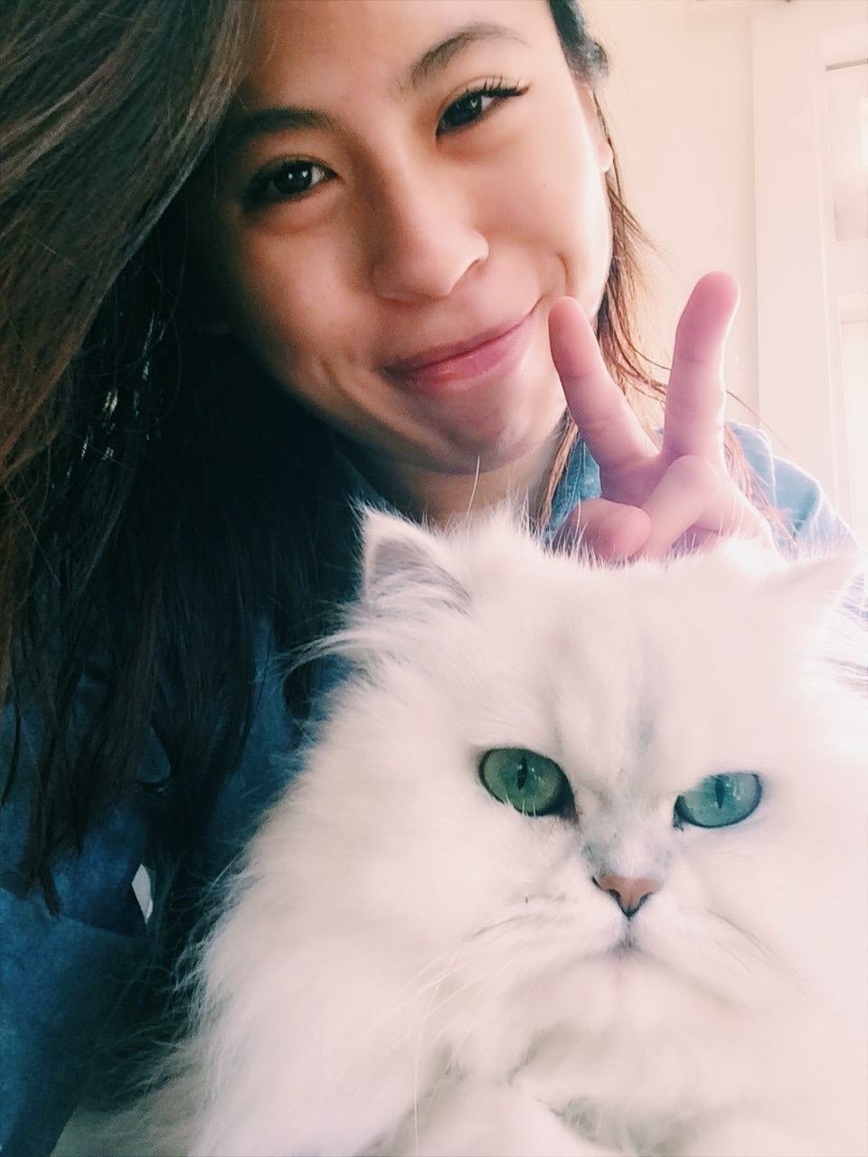 Caitlin Davidson's Instagram, Twitter & Facebook on IDCrawl