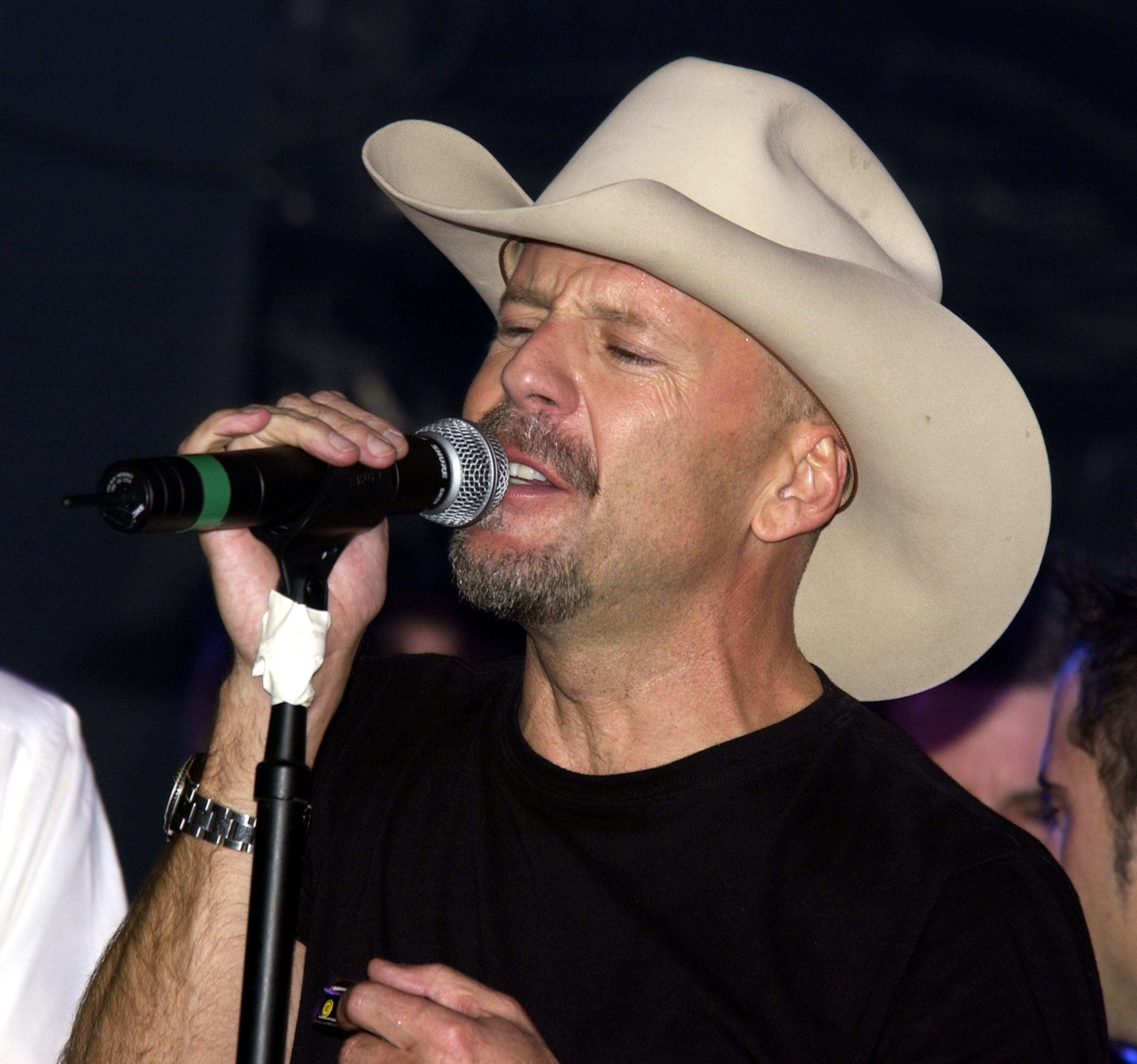 Bruce Willis Band