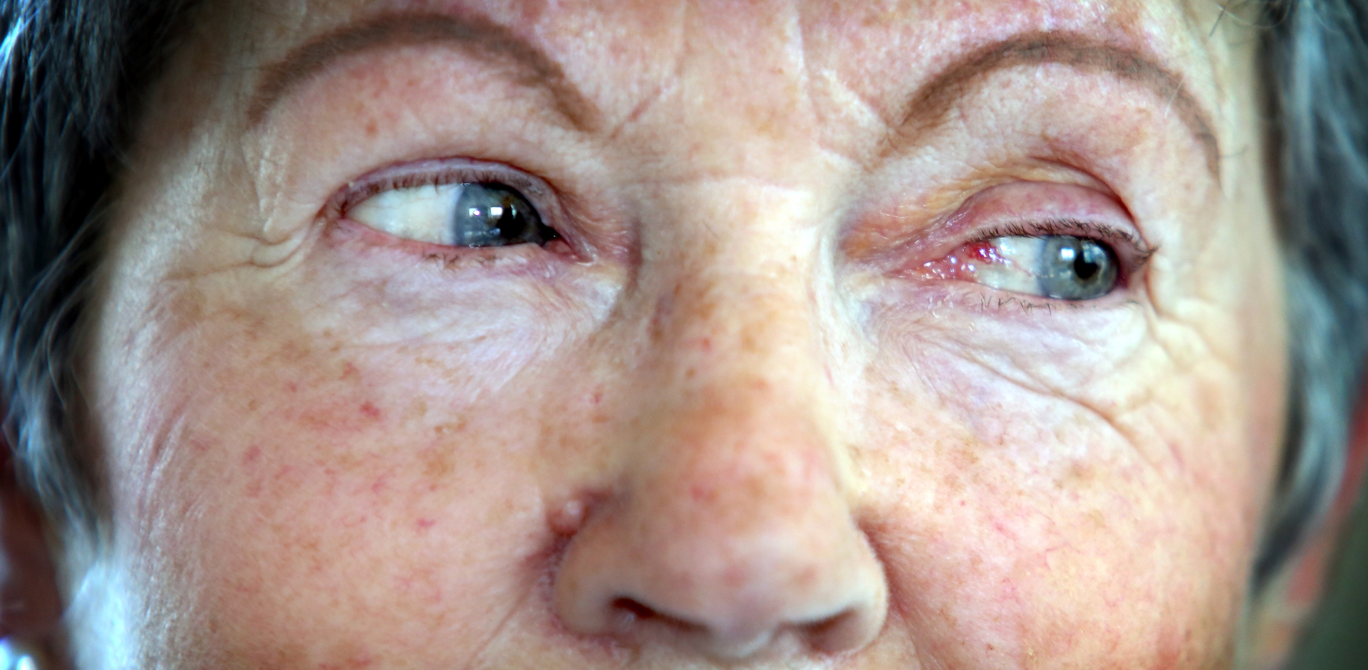 Dianne Sharp's Instagram, Twitter & Facebook on IDCrawl