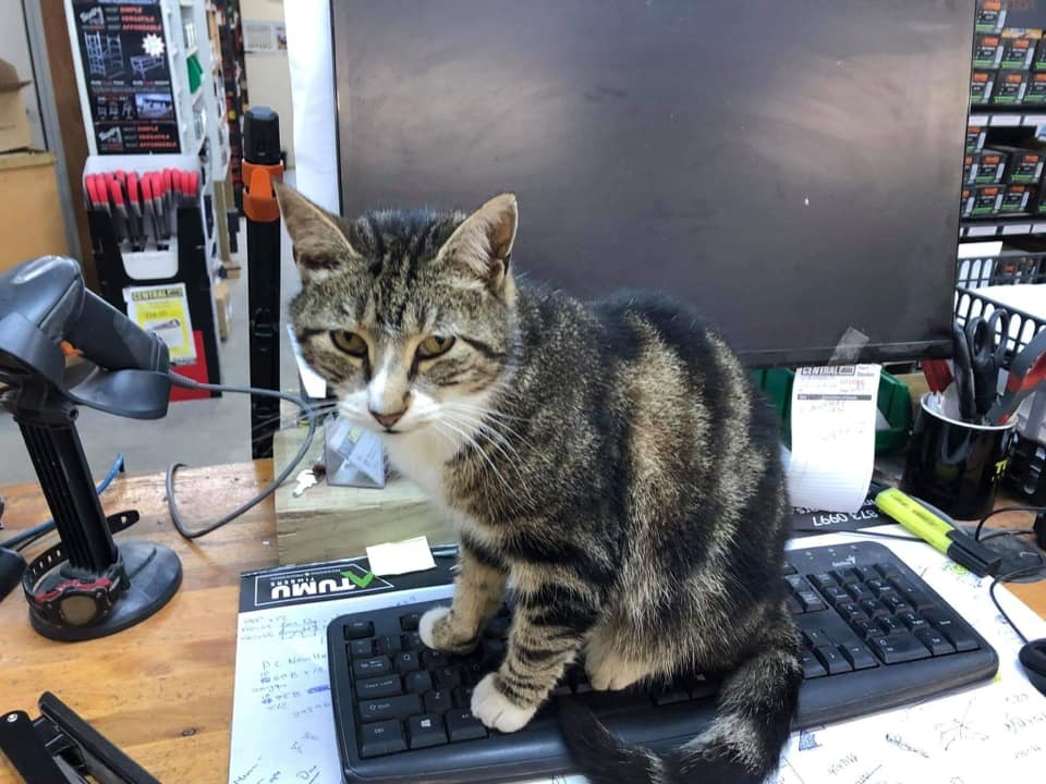 TIL a small NZ town worked together on a month-long search for local ...