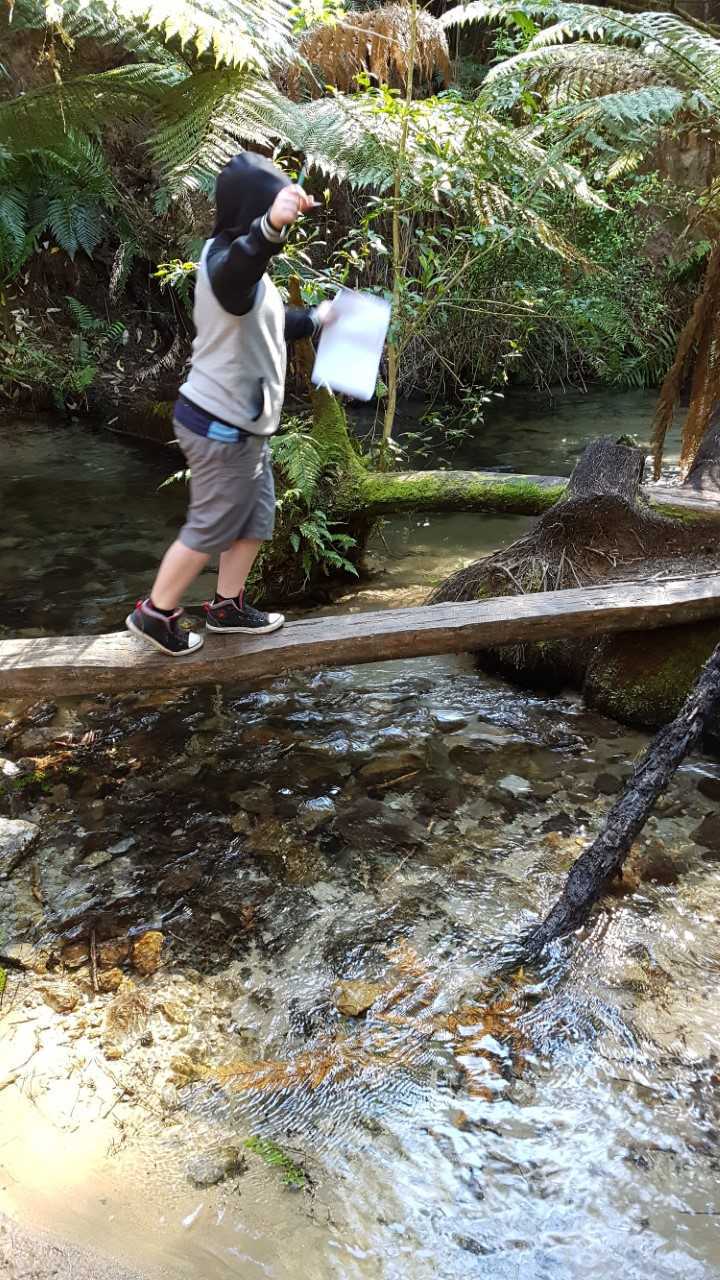 Baylee Ross's Instagram, Twitter & Facebook on IDCrawl