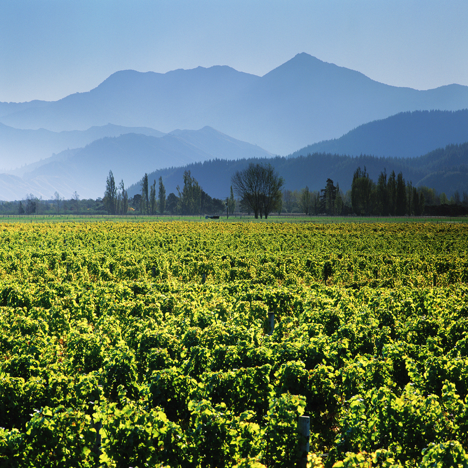 Gretchen Lister's Instagram, Twitter & Facebook on IDCrawl