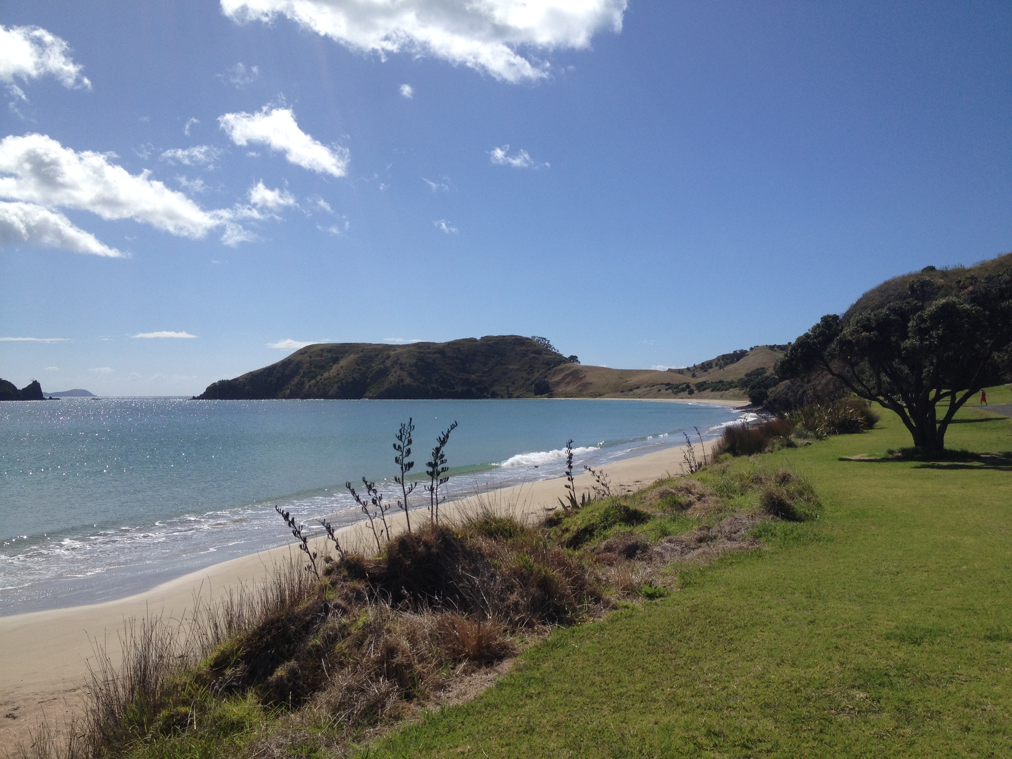 Opito Uk The Elusive Treasures Of Coromandel's Opito Bay NZ Herald