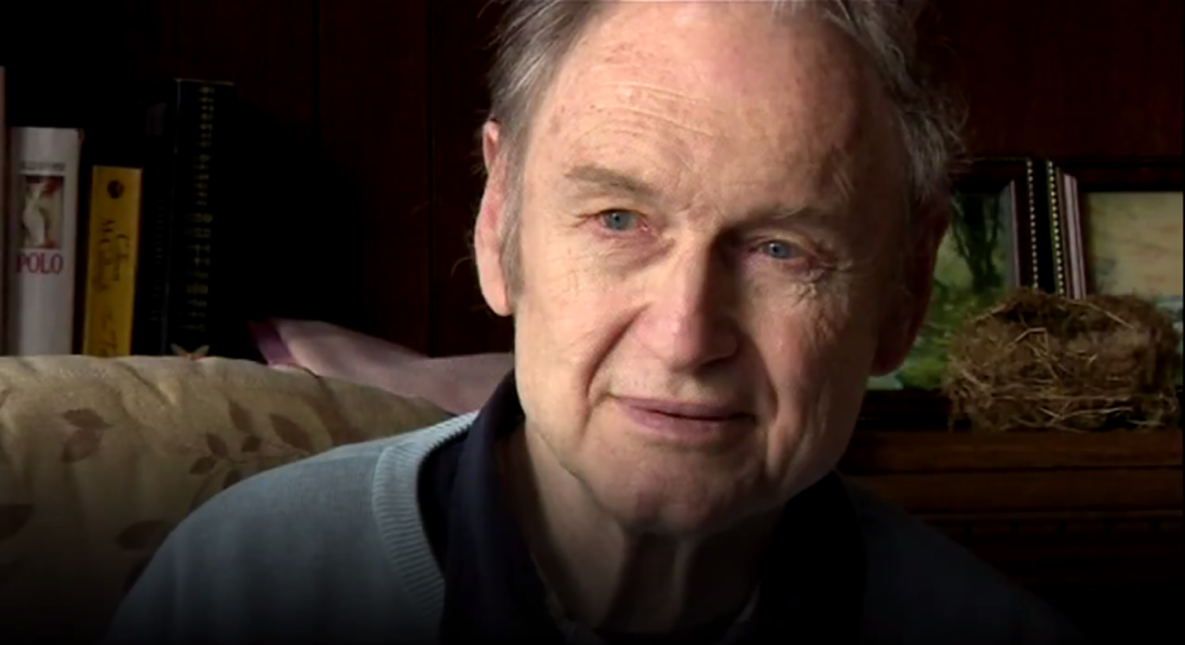 Joey Daley's Instagram, Twitter & Facebook on IDCrawl