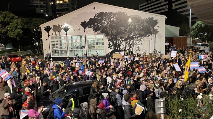 Hundreds of Wellingtonians rally in support of transgender community