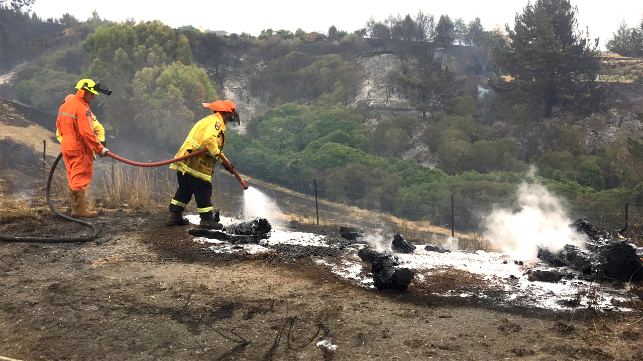 Firefighters union claims Nelson crews suffered CO poisoning, not ...