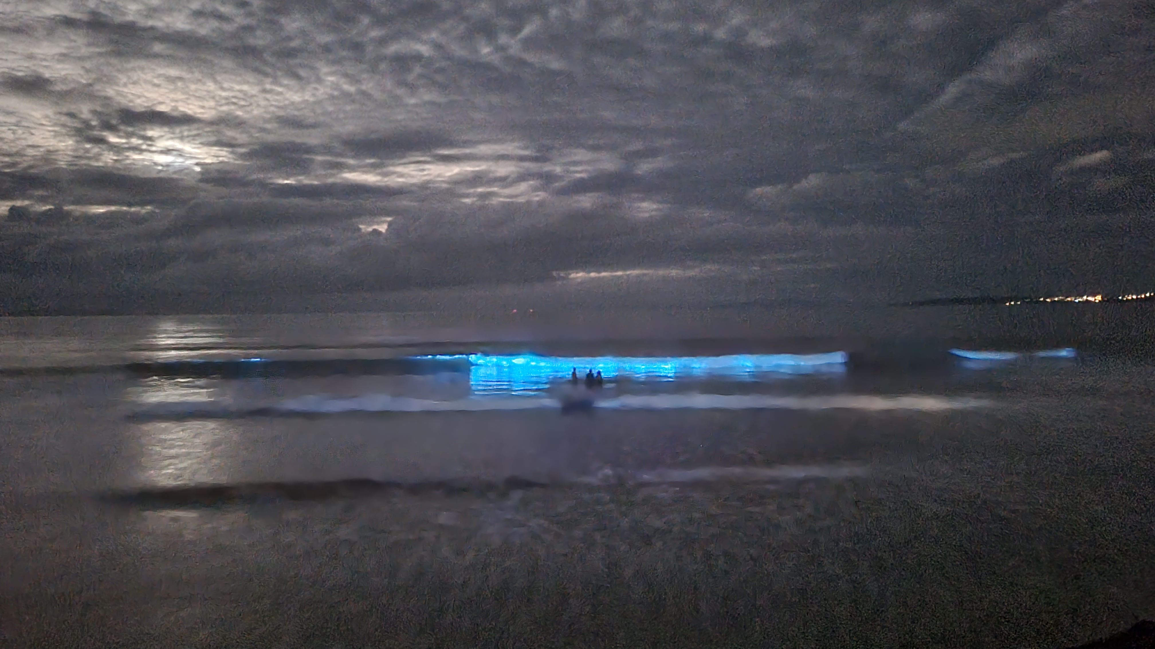 Family dip into bioluminescent waves in Orewa, end up 'glowing'