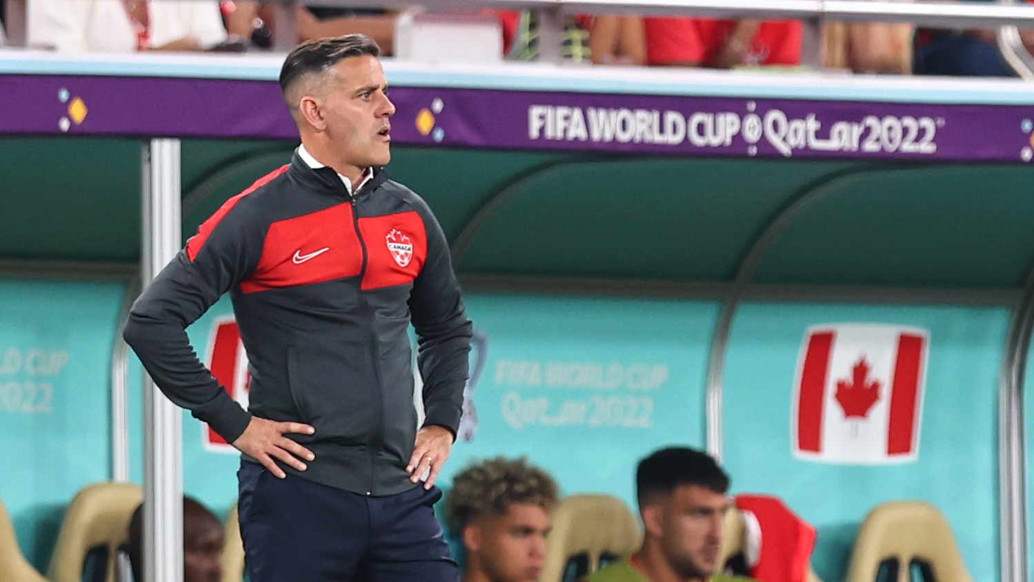 'I'm not going anywhere' - Herdman quashes All Whites rumours
