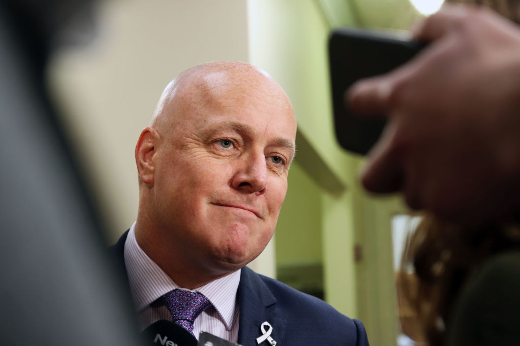 'We are the reset,' Luxon says as new National leader