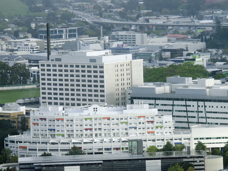 Use A & E only in true emergency, public urged, as Auckland City ...