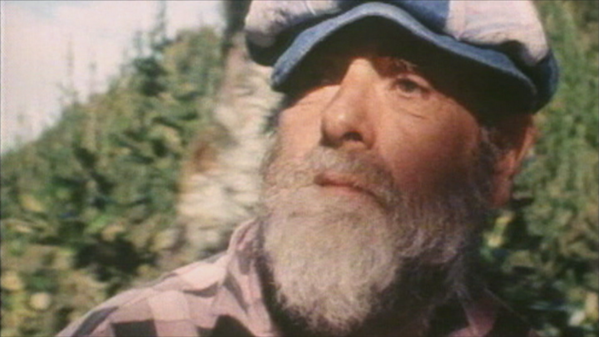 Whangārei's Hundertwasser Centre unveiled to the public