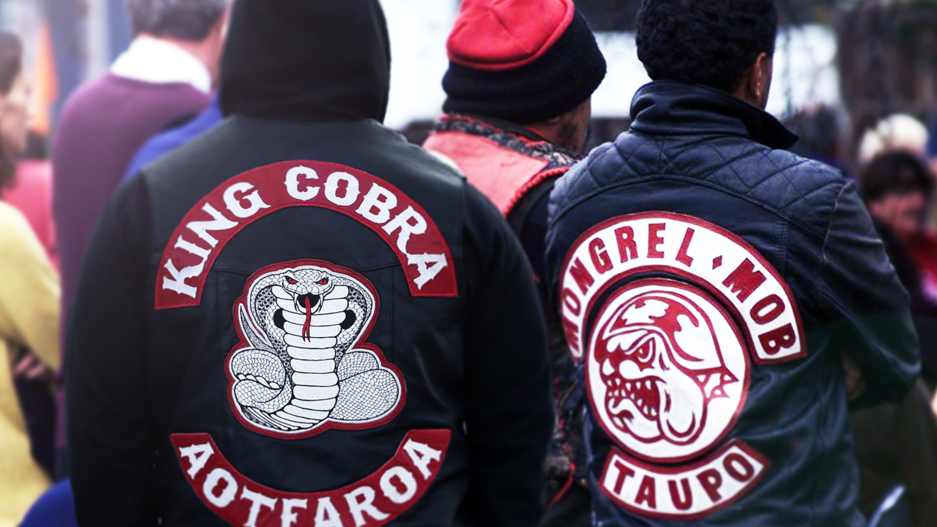 Poll: 70% think Govt not doing enough to deal with gangs