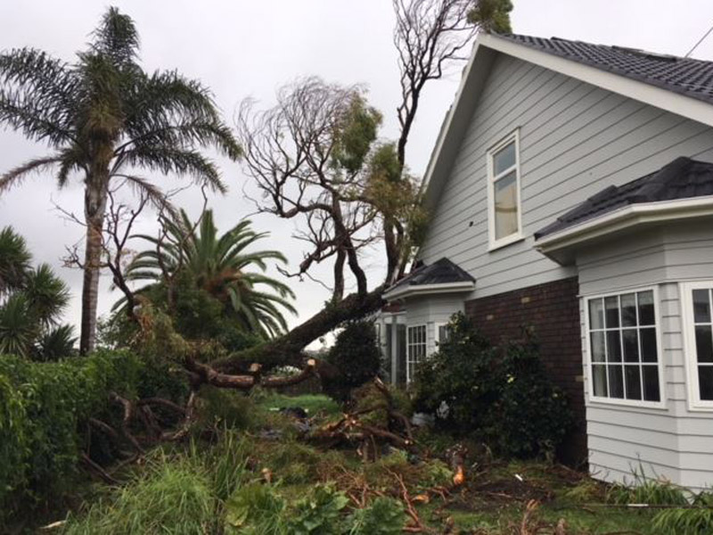 Auckland power cuts may take several days to fix for some as thousands ...