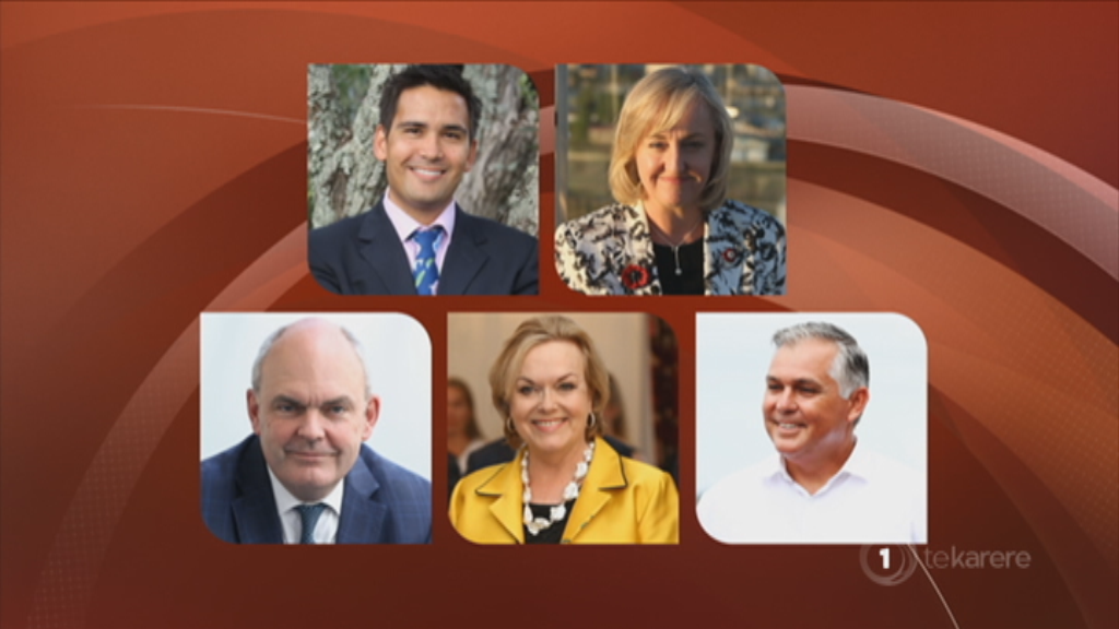 10 quick questions: The National Party leadership contenders
