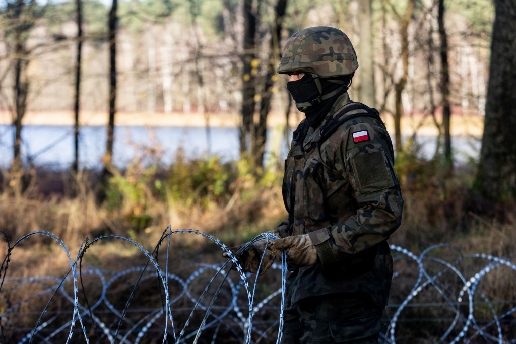 NATO will react to Russian missiles crossing into Poland - expert
