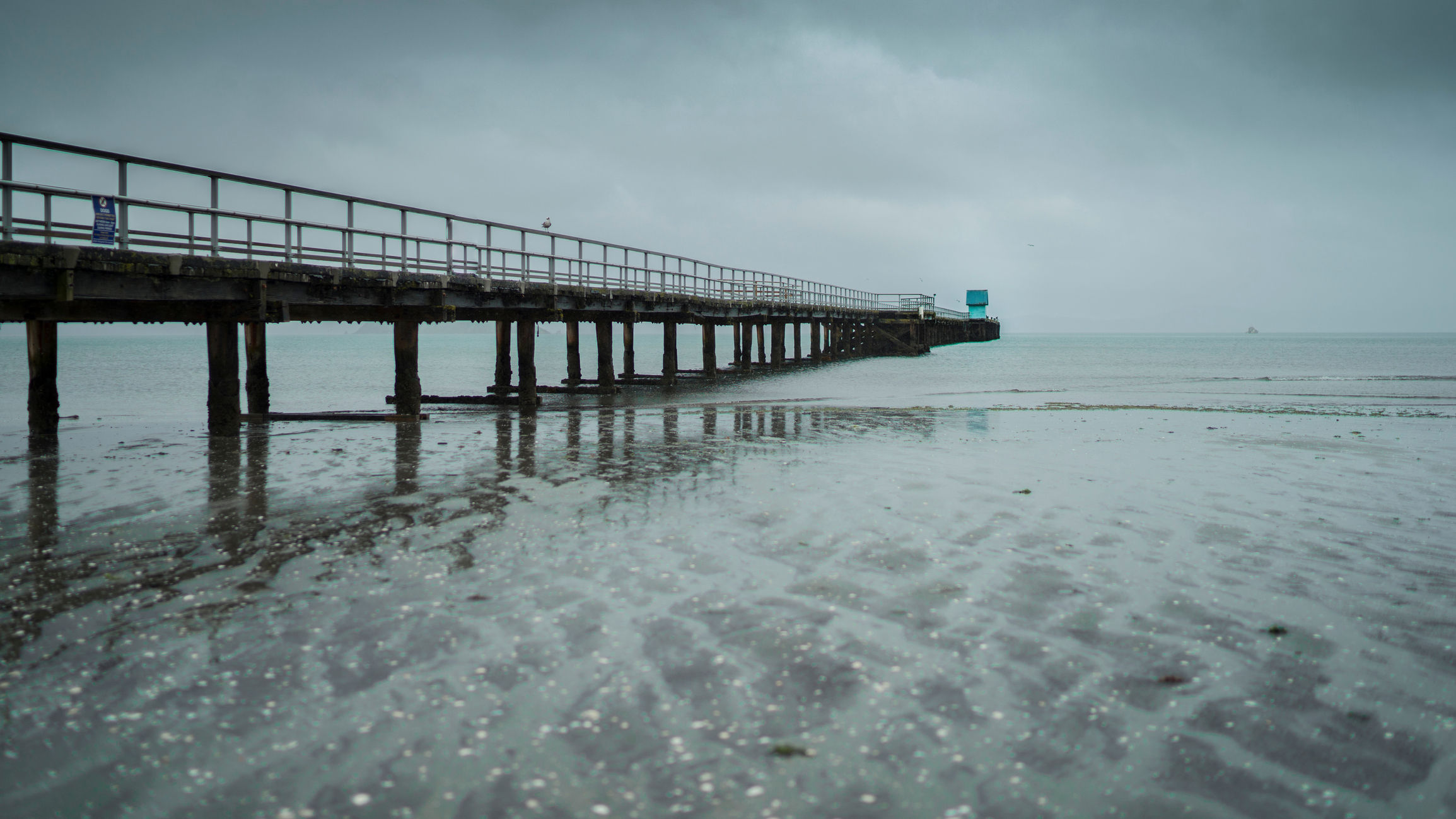 Foot found on Wellington's Petone Beach