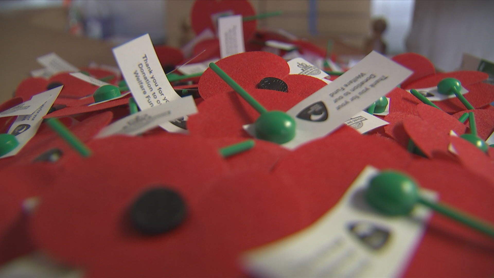 Anzac Day: The red poppy's rise as a symbol of remembrance