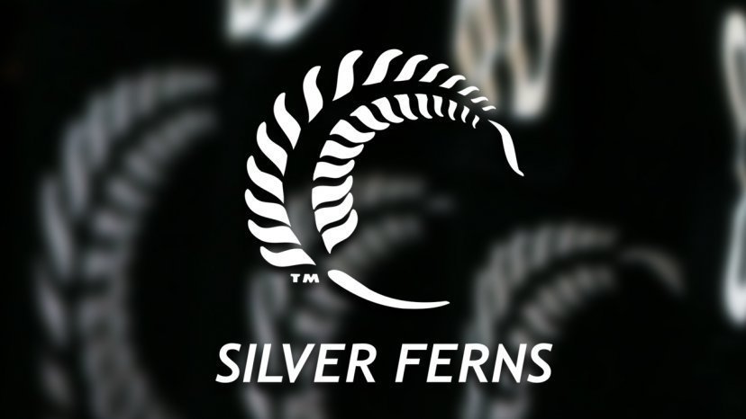Silver Ferns Netball Logo Image Result For National Netball Team Logos